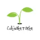 Cultivate Taste - Handcrafted and Single Origin Loose Leaf Tea